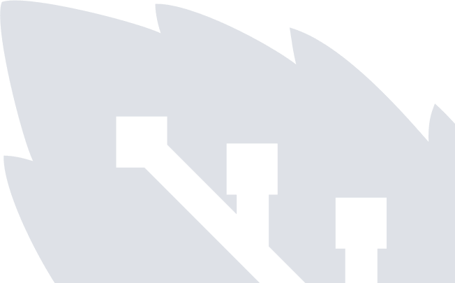 Custom Software Development Company | NRG Phoenix Technology